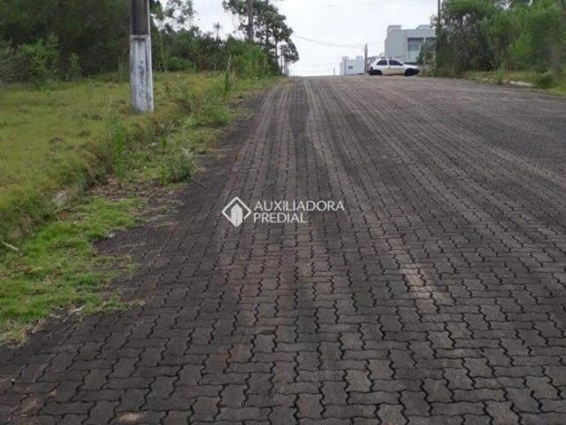 TERRENO FLORESTA