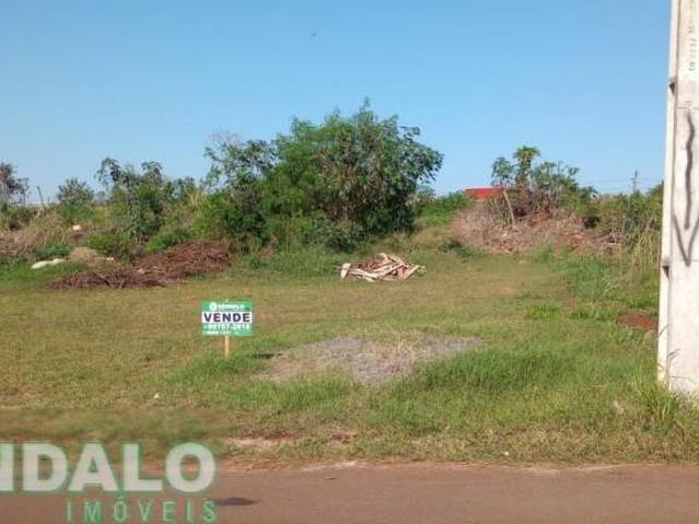 Terreno Floresta