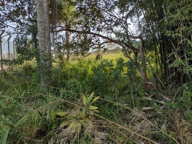 TERRENO FLORIDA