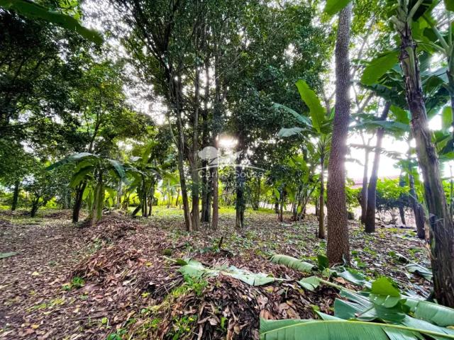 Terreno fora de condomínio cód 360