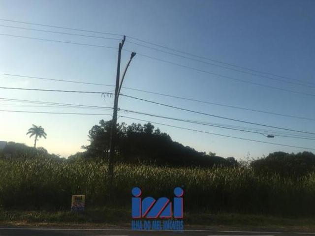 TERRENO FRENTE A RODOVIA EM PONTAL DO SUL