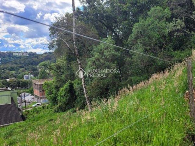 Terreno frente leste, com 13.991m² no bairro São Luiz