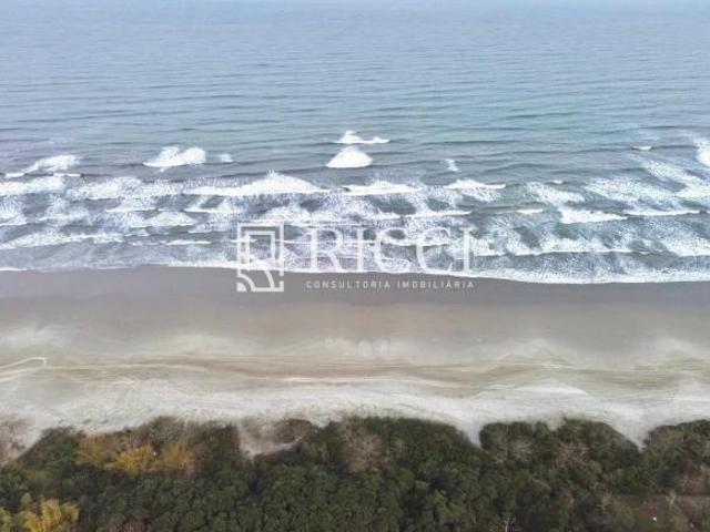 Terreno frente mar em Bertioga | RICCI Consultoria