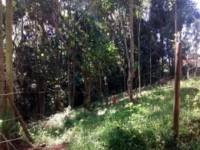TERRENO FRENTE PARA BR 116