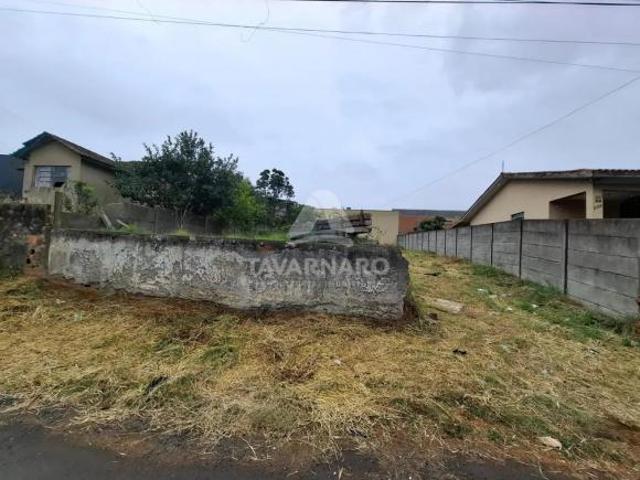 TERRENO FRENTE PARA BR 376