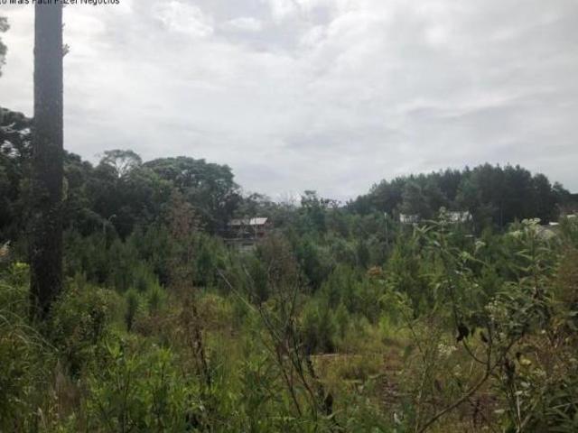 Terreno, Germânia, Nova Petrópolis, RS