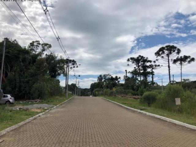 Terreno, Germânia, Nova Petrópolis, RS