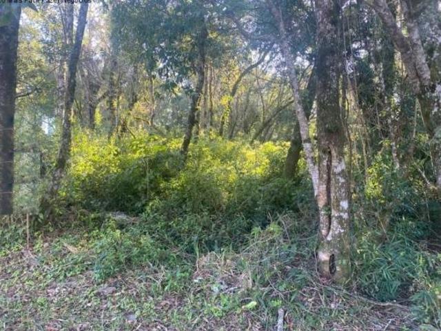 Terreno, Germânia, Nova Petrópolis, RS