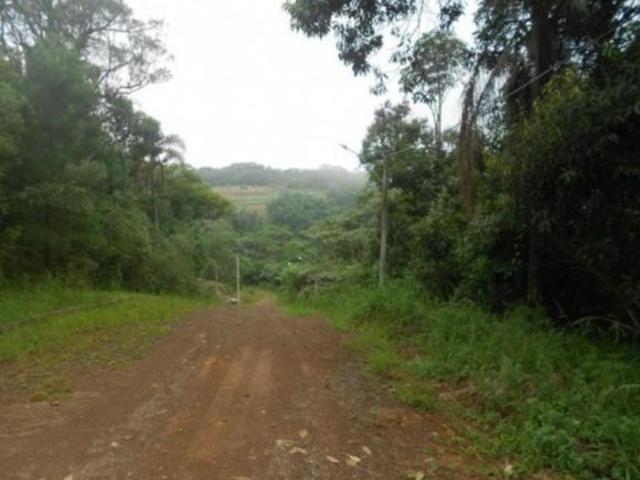 Terreno, Germânia, Nova Petrópolis, RS