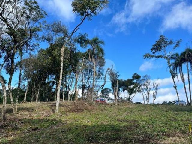 Terreno, Germânia, Nova Petrópolis, RS