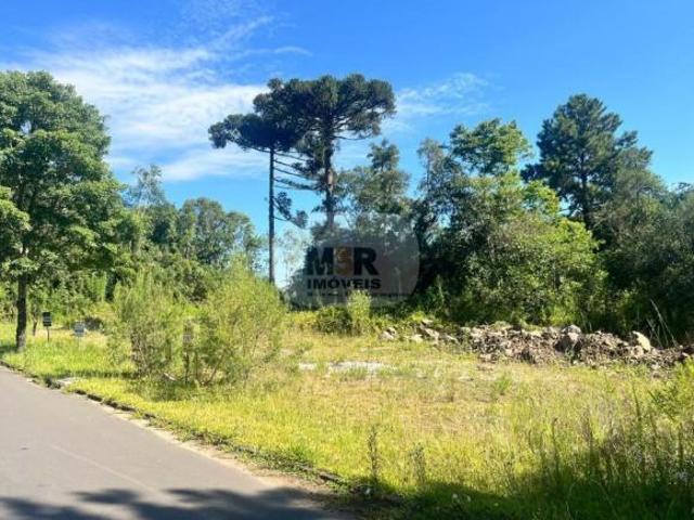 Terreno, Germânia, Nova Petrópolis, RS