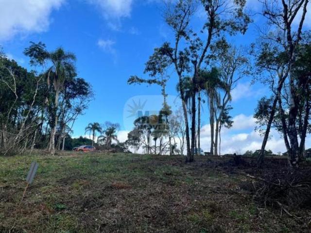 Terreno, Germania, Nova Petrópolis, RS