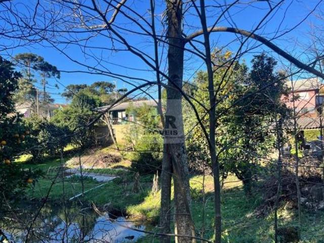 Terreno, Germânia, Nova Petrópolis, RS