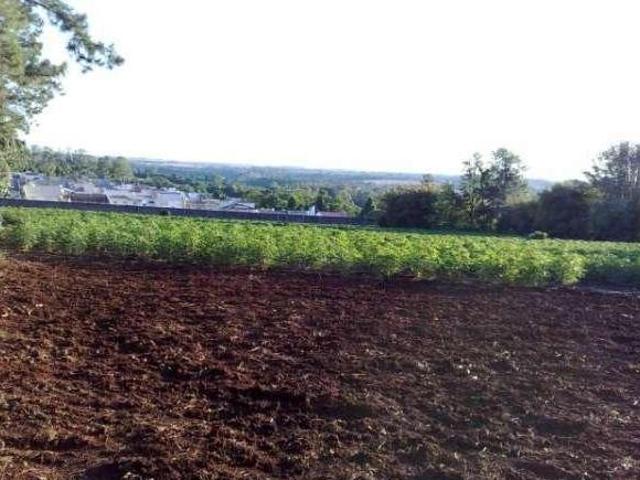 Terreno Gleba Cafezal