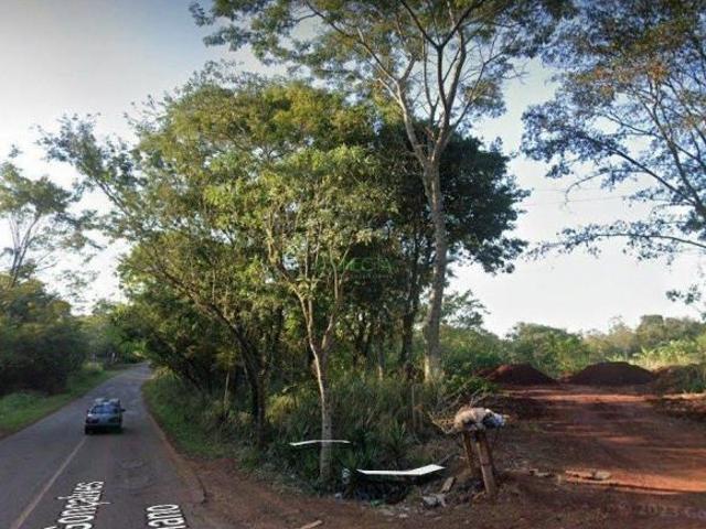 Terreno | Gleba Fazenda | Londrina