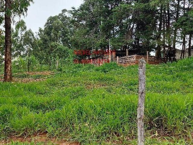 TERRENO GLORIA