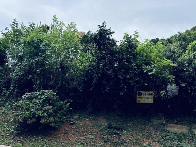 TERRENO GRANDE VALOR PROMOCIONAL SAO LEOPOLDO