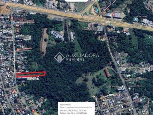 TERRENO GRANDE EM VIAMÃO