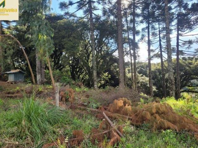 Terreno grande em região de valorização!