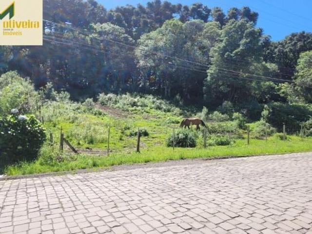 Terreno grande no centro de Canela!