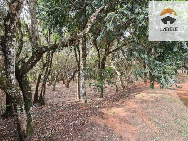 Terreno Granja Viana Condominio São Fernando Golf Clube Granja Viana SP