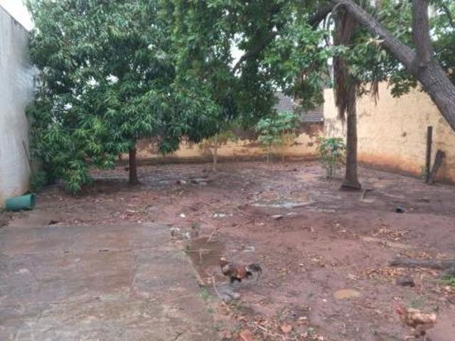 Terreno, Higienópolis, Catanduva, SP
