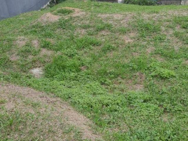 Terreno Horto florestal