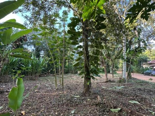 Terreno itamambuca de esquina com viela, R 17 a 100 metros da orla LIBERADO 100%
