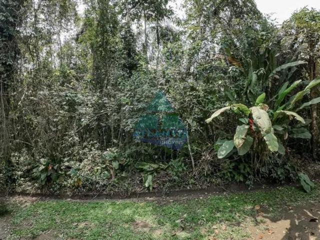 Terreno, Itamambuca, Ubatuba R$ 1.5 mi, Cod: 2537