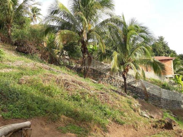 Terreno, Itaguassu, Ilhabela R$ 1.15 mi, Cod: 1684