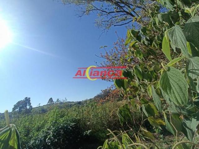Terreno Itaim/Pimentas