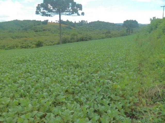 Terreno Itaqui