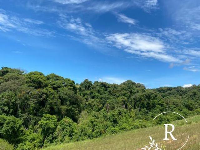 Terreno Ideal para Chácara em Ibiúna