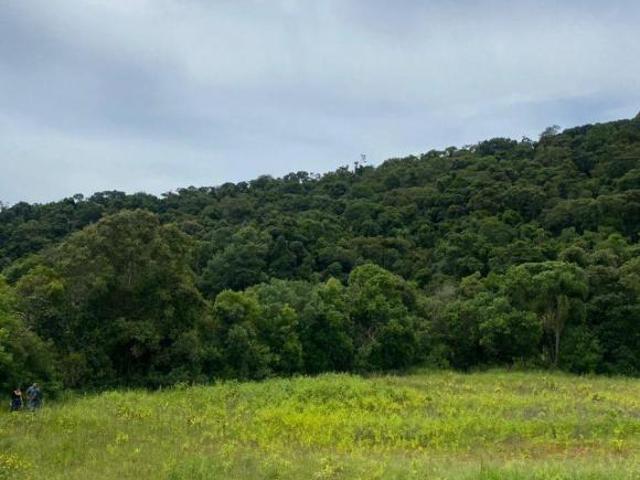 Terreno Ideal para Chácara em Ibiúna