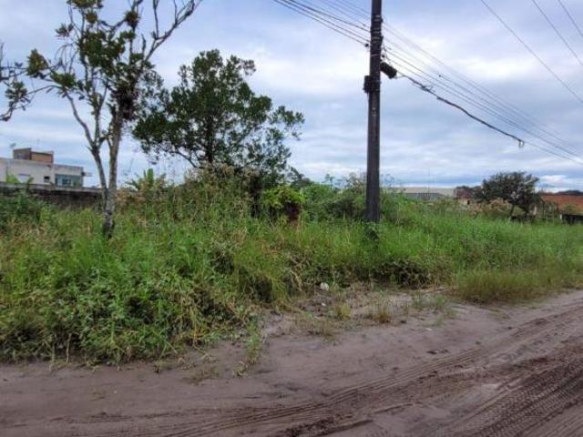 Terreno ideal para geminada á Venda, Itanhaém / SP. Lote com 303m² de área total
