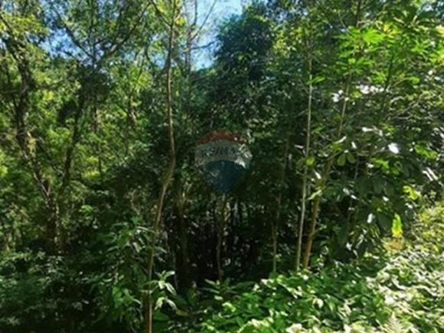 Terreno Ilhabela com Financiamento