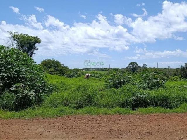 Terreno Industrial | Cilo 3 | Londrina