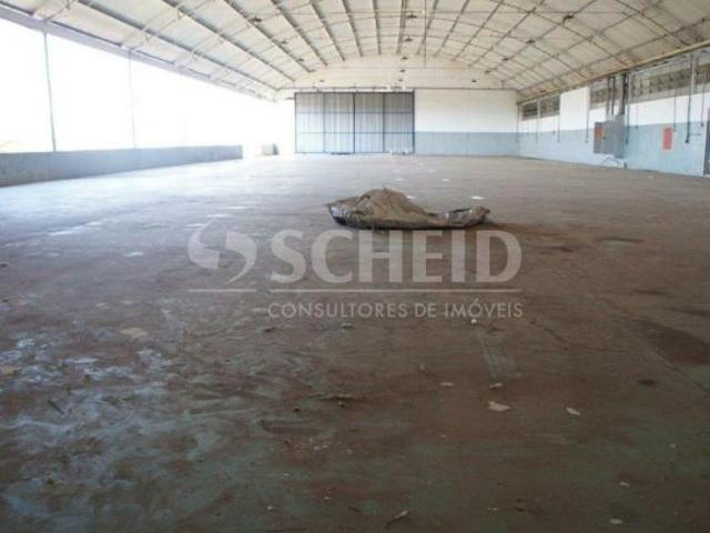 Terreno Industrial ACESSO RODOVIA ANHANGUERA NOVA ODESSA SÃO PAULO