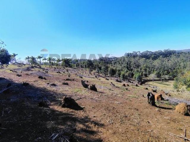 Terreno Industrial de 35.000 m² com Excelente Acesso às Principais Rodovias