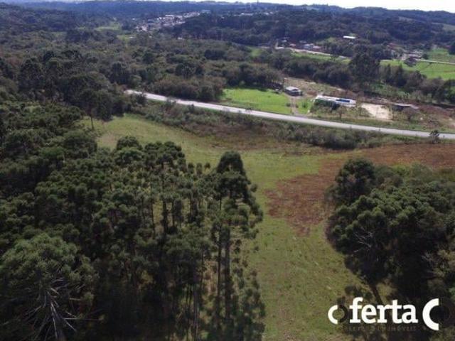 Terreno industrial em Campo Largo