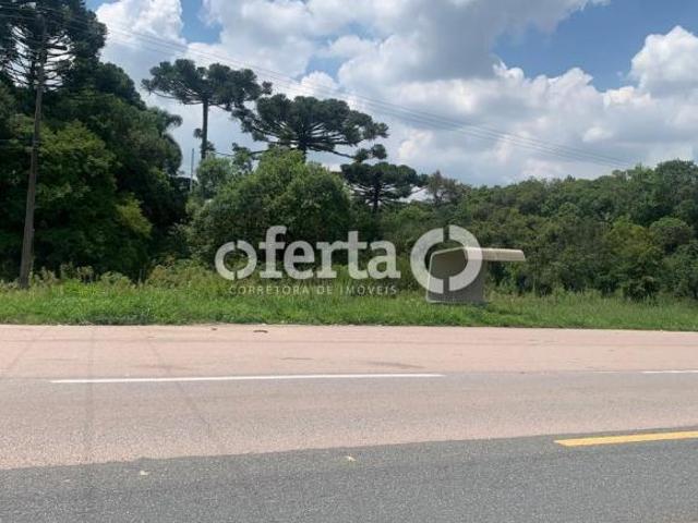 Terreno Industrial em Araucária BR 476