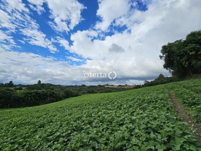 Terreno industrial em Araucária PR 423