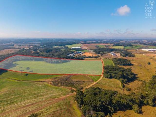 Terreno Industrial, Plano, Fazenda Rio Grande
