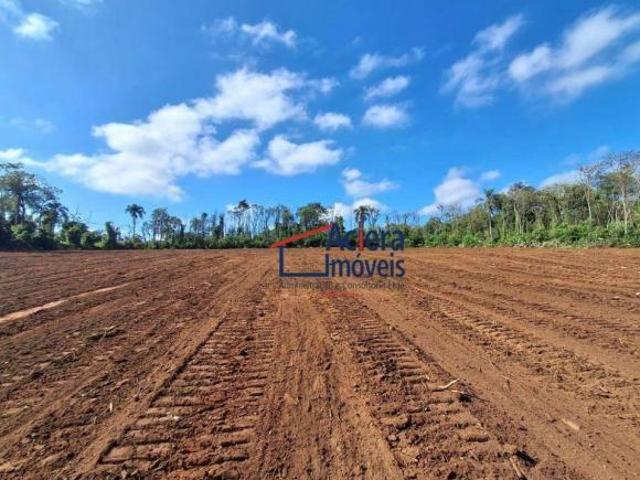 Terreno Industrial Terraplanado e Desmatado à venda, 9885 m² Parque Industrial São Roque Araçari