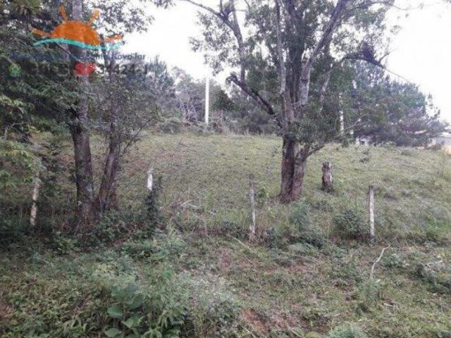 TERRENO JUQUITIBA