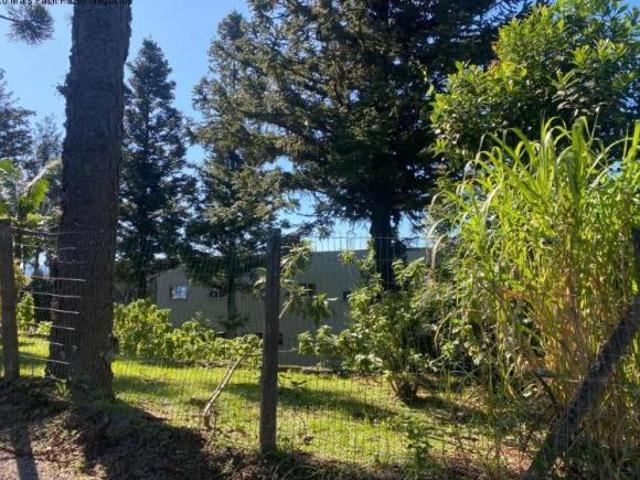 Terreno, Juriti, Nova Petrópolis, RS