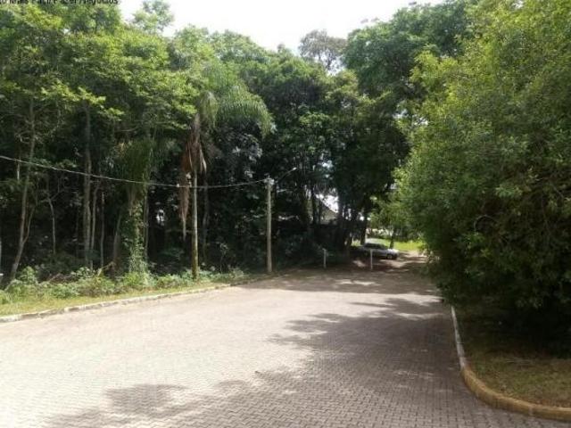 Terreno, Juriti, Nova Petrópolis, RS
