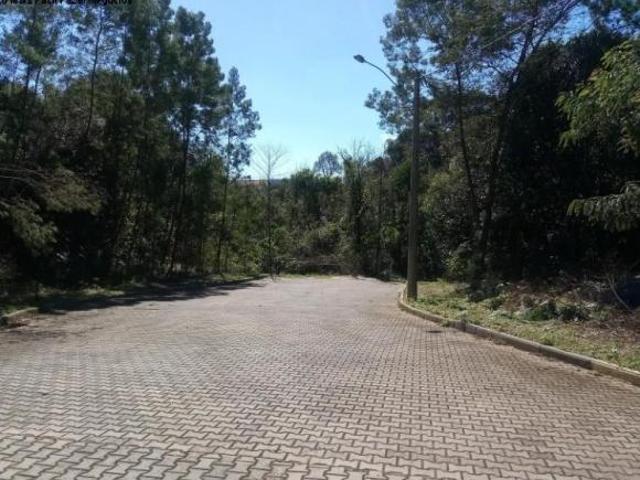 Terreno, Juriti, Nova Petrópolis, RS