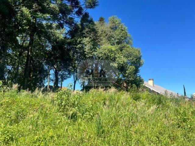 Terreno, Juriti, Nova Petrópolis, RS