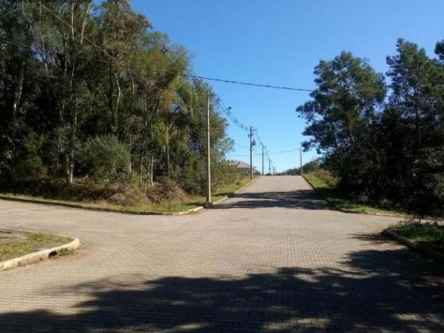 Terreno, Juriti, Nova Petrópolis, RS
